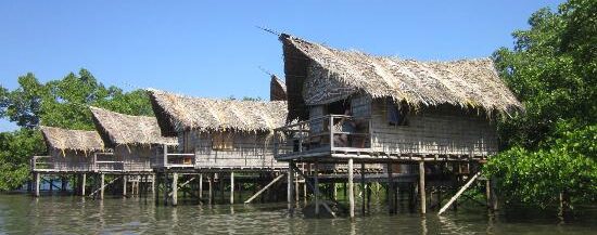 Nuli Sapi | Go Papua New Guinea